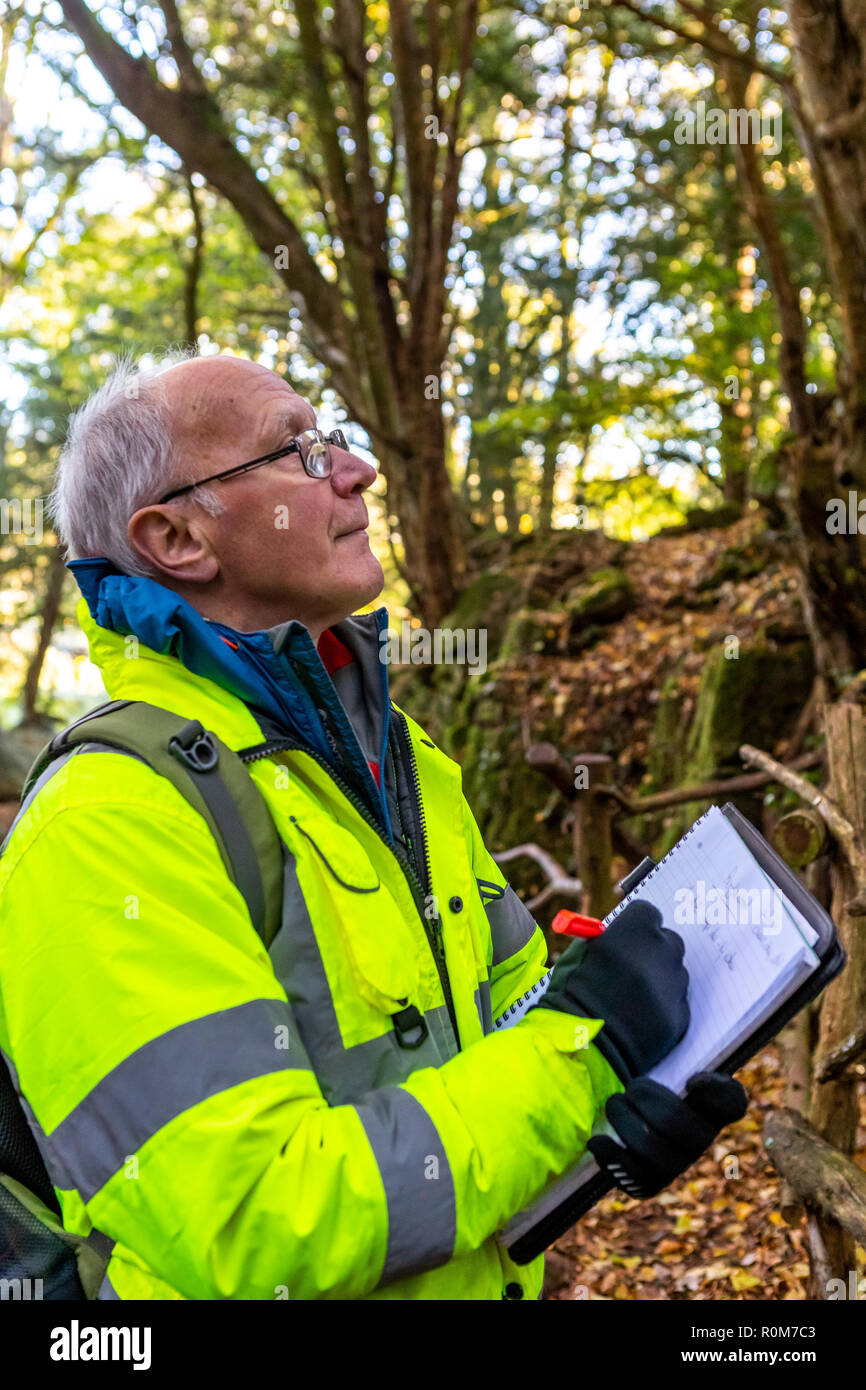 Professional tree Inspector Steve Maros routinely inspects trees at ...