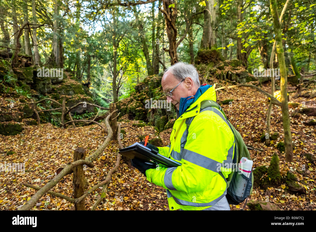 Lantra professional tree inspectors certificate hi-res stock ...