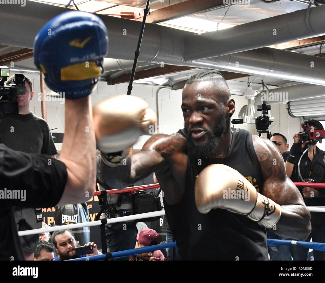 11-5-18. Santa Monica CA. WBC World Champion Deontay Wilder talks to ...