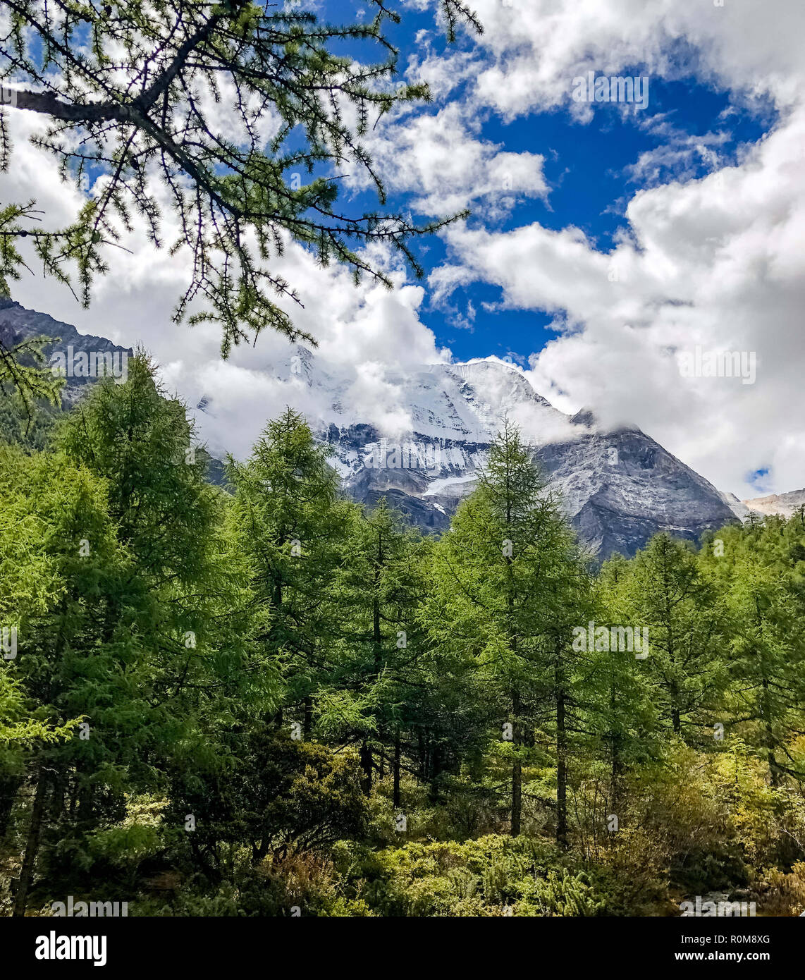 Daocheng, Daocheng, China. 6th Nov, 2018. Daocheng, CHINA-The Yading ...