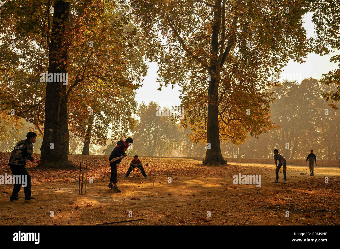 2018 cricket season hi-res stock photography and images - Alamy