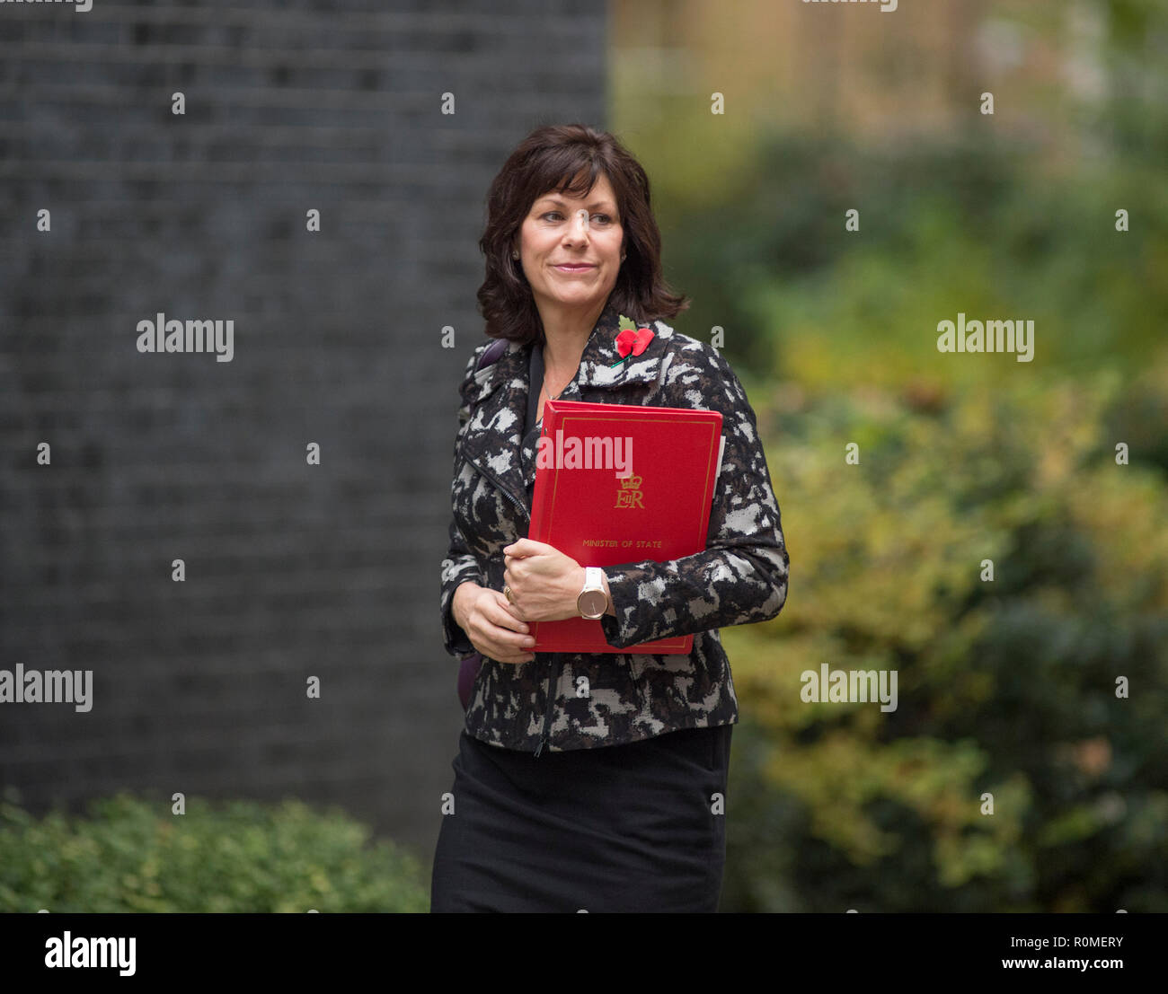 Downing Street, London, UK. 6 November 2018. Claire Perry, Minister of ...