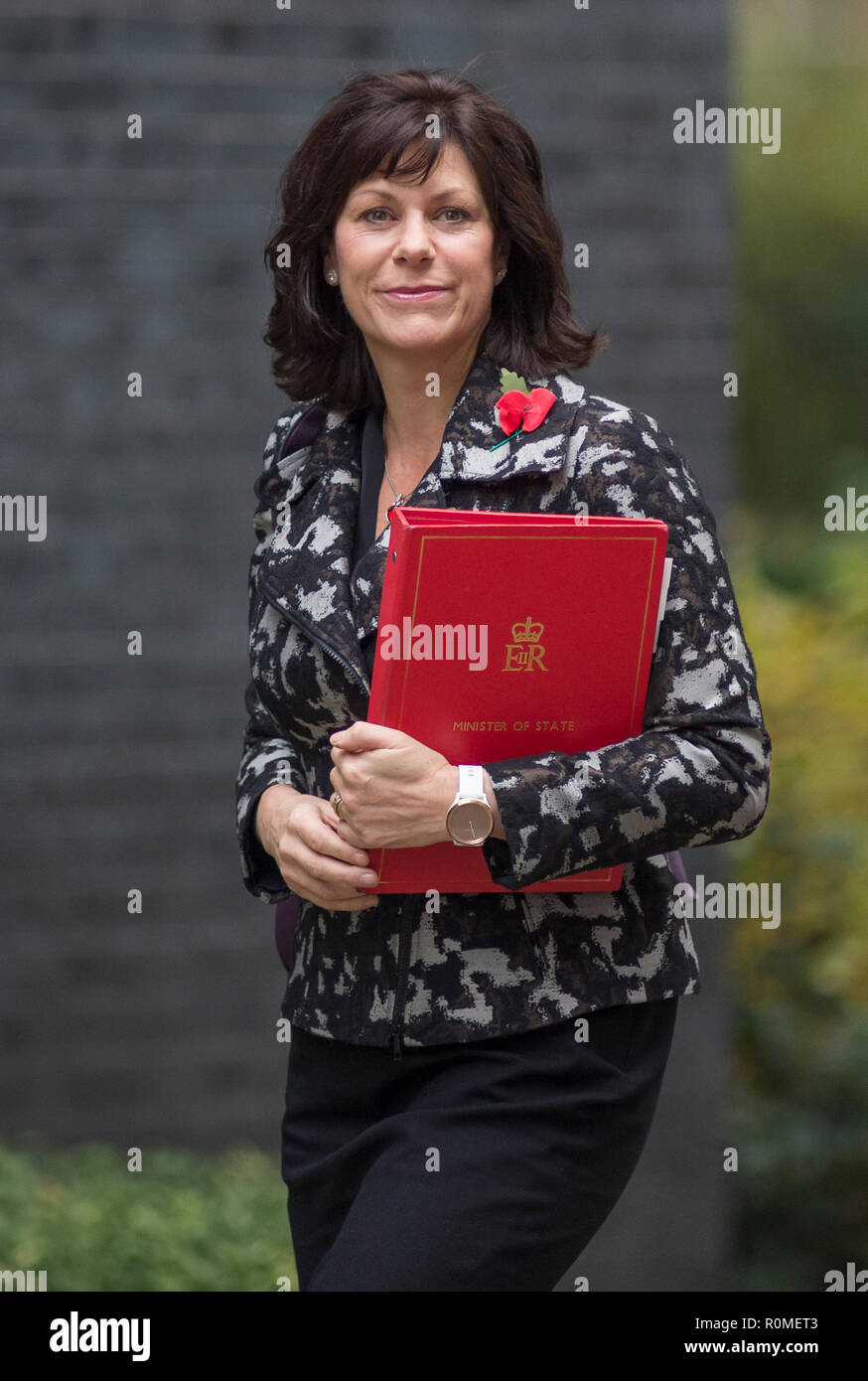 Downing Street, London, UK. 6 November 2018. Claire Perry, Minister of ...