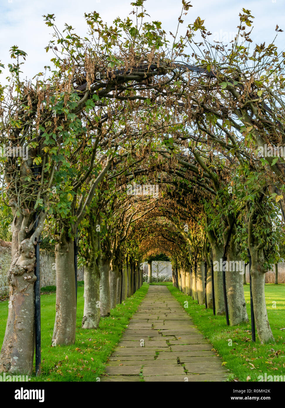 Haddington garden trust hi-res stock photography and images - Alamy