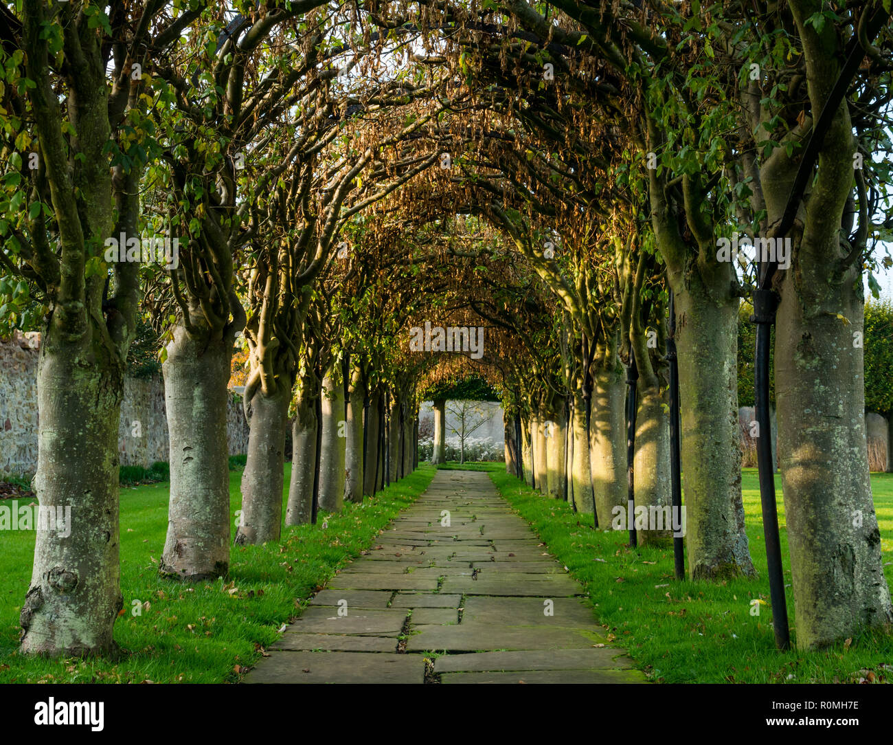 Haddington, East Lothian, Scotland, United Kingdom, 6th November 2018 ...