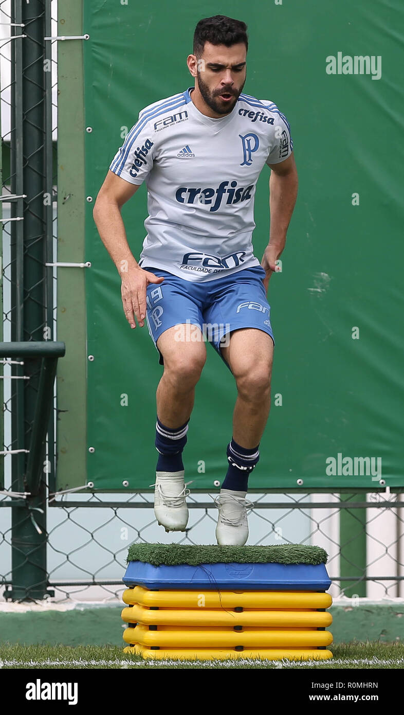 SÃO PAULO, SP - 06.11.2018: TREINO DO PALMEIRAS - The player Bruno ...