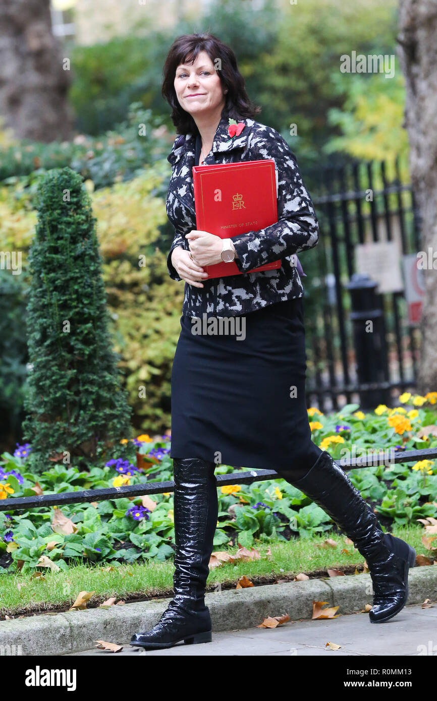 London, UK. 6th Nov, 2018. Claire Perry, Minister of State at ...