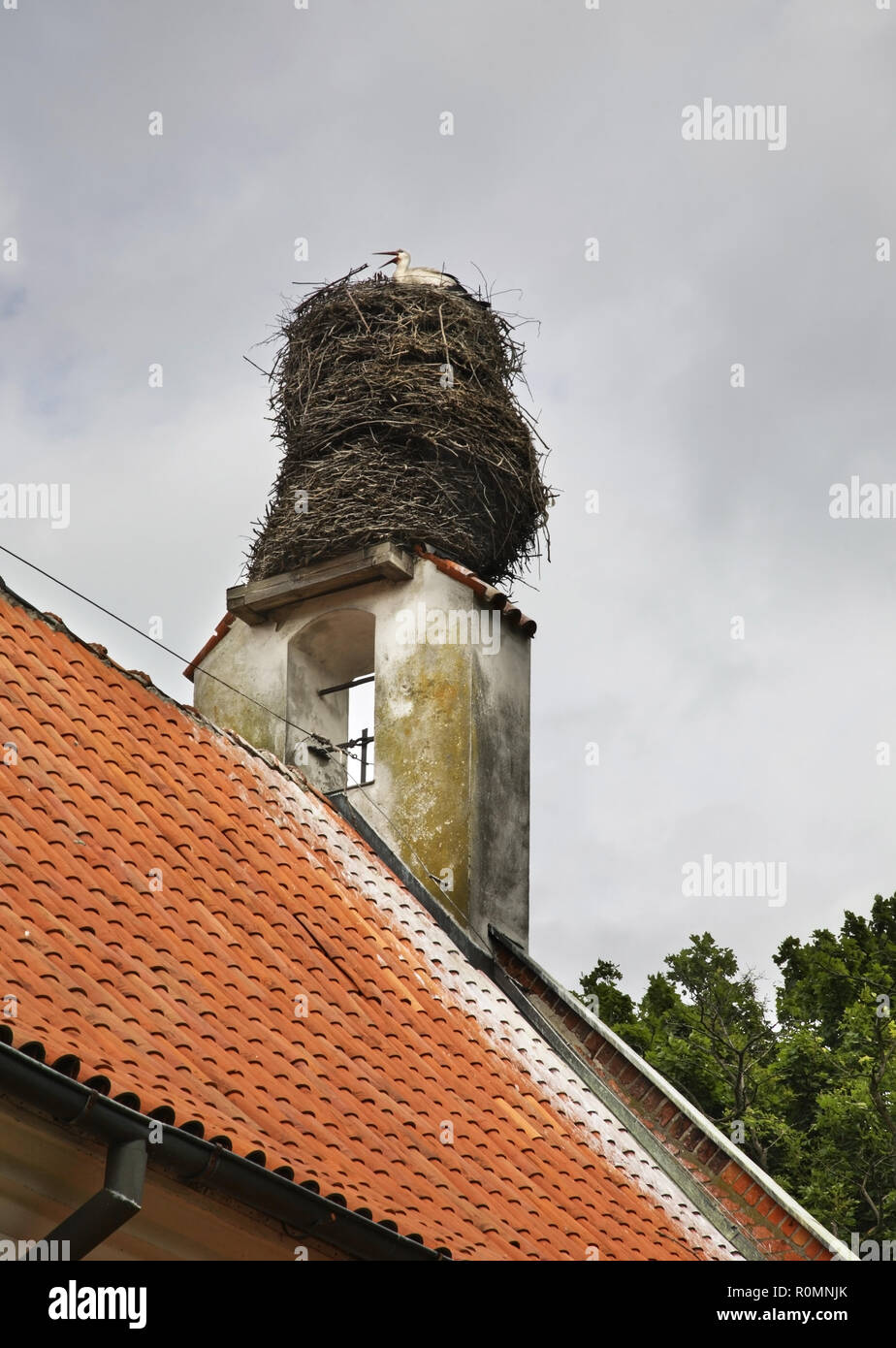 Hospital Of Holy Spirit High Resolution Stock Photography and Images ...