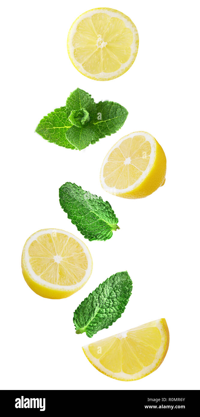Flying lemon and mint leaves isolated on white background Stock Photo ...