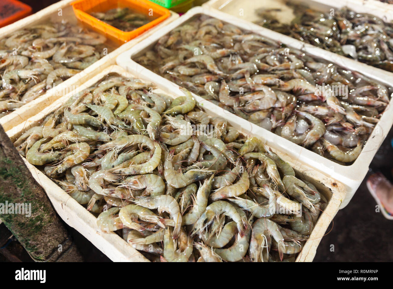 Seafood market hi-res stock photography and images - Alamy