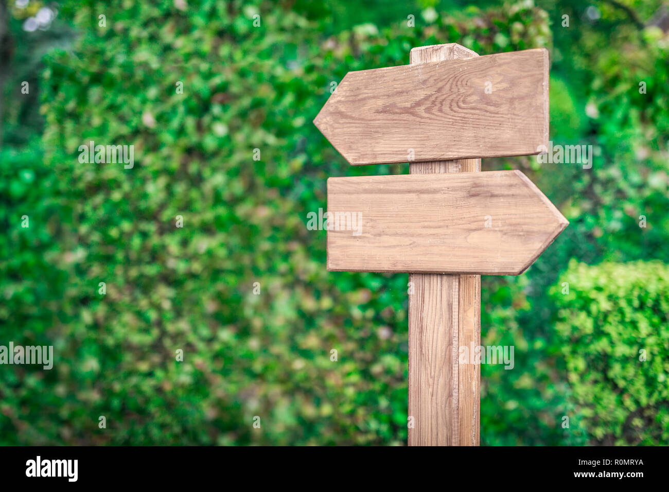 Wooden signage in the forest for direction, closeup wooden arrows ...