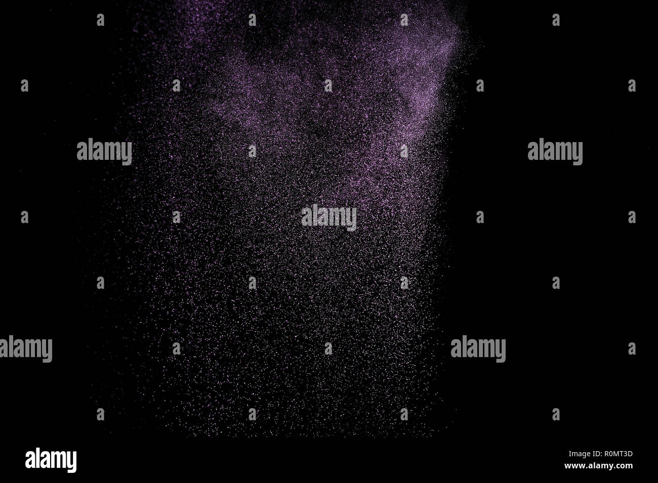 Abstract purple paint Holi. Abstract purple powder explosion on black ...