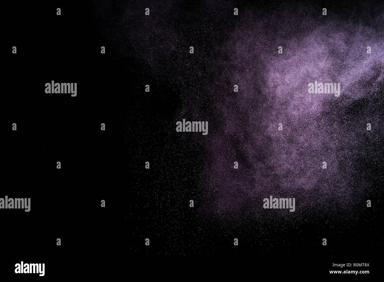 Abstract purple paint Holi. Abstract purple powder explosion on black ...