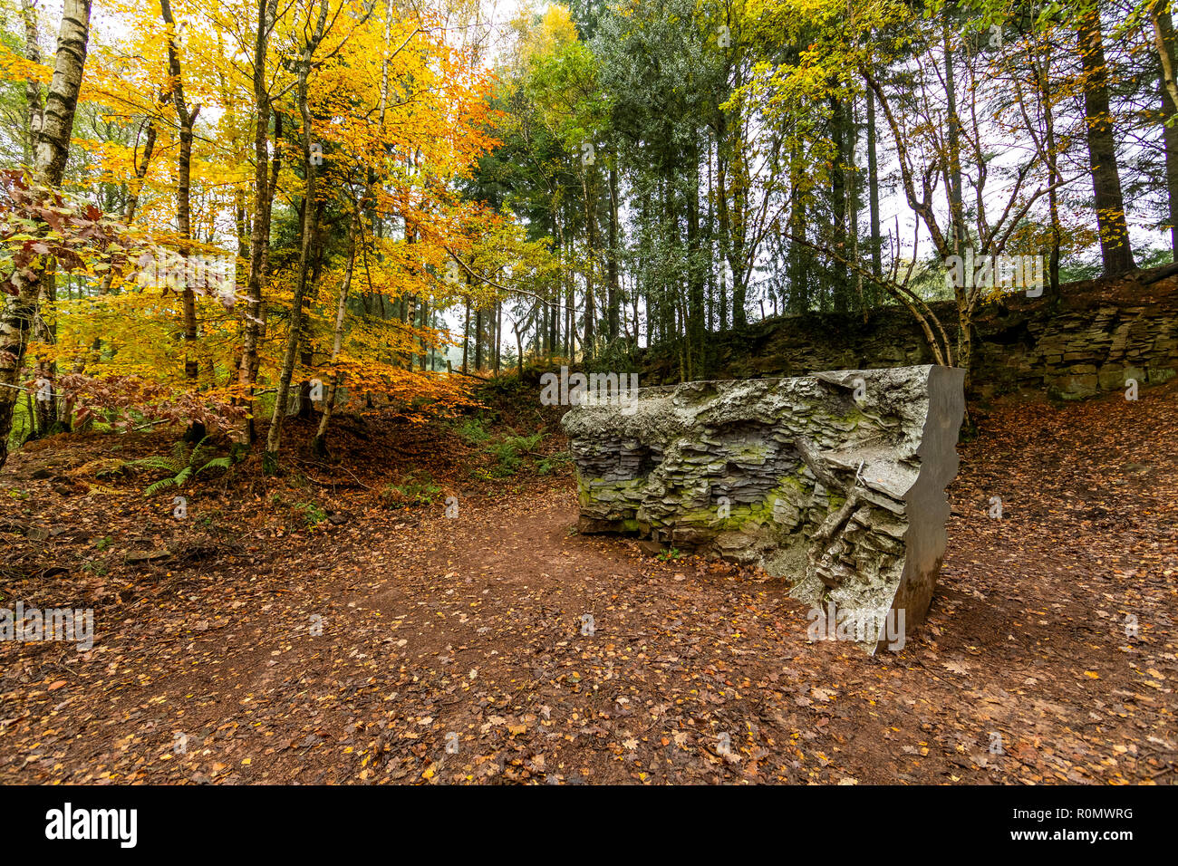 Echo - by Annie Cattrell. One of the works of sculpture for Forest of ...