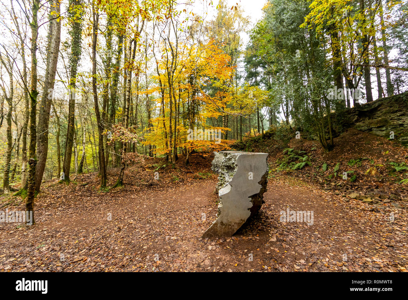 Echo - by Annie Cattrell. One of the works of sculpture for Forest of ...