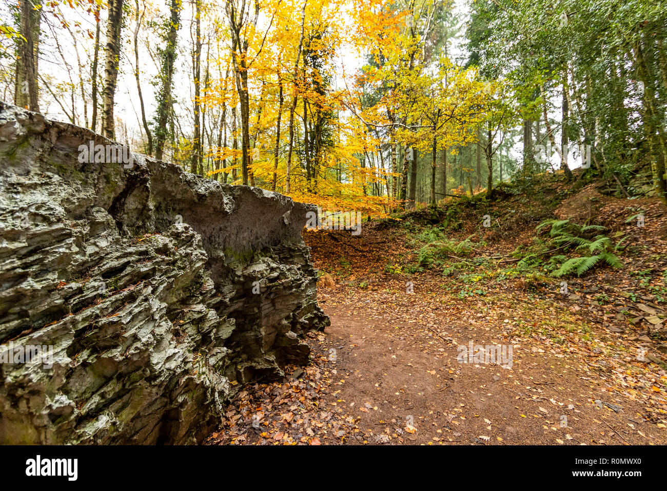 Echo - by Annie Cattrell. One of the works of sculpture for Forest of ...