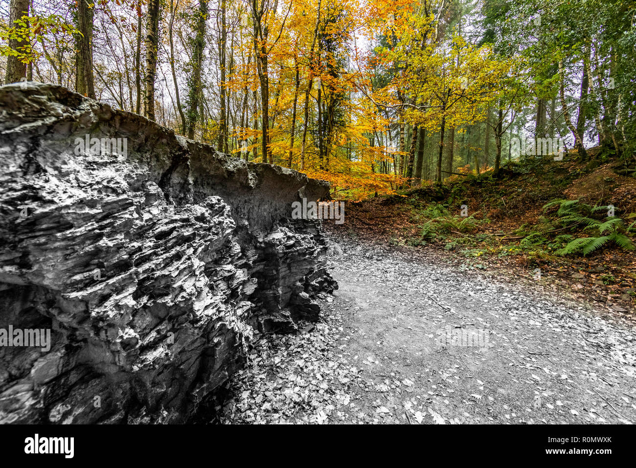 Echo - by Annie Cattrell. One of the works of sculpture for Forest of ...