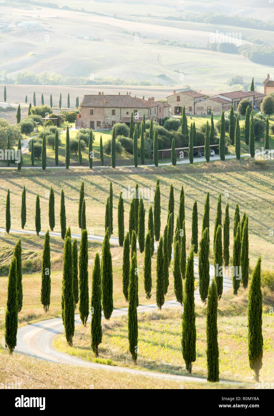 Beautiful tree lined driveway hi-res stock photography and images - Alamy