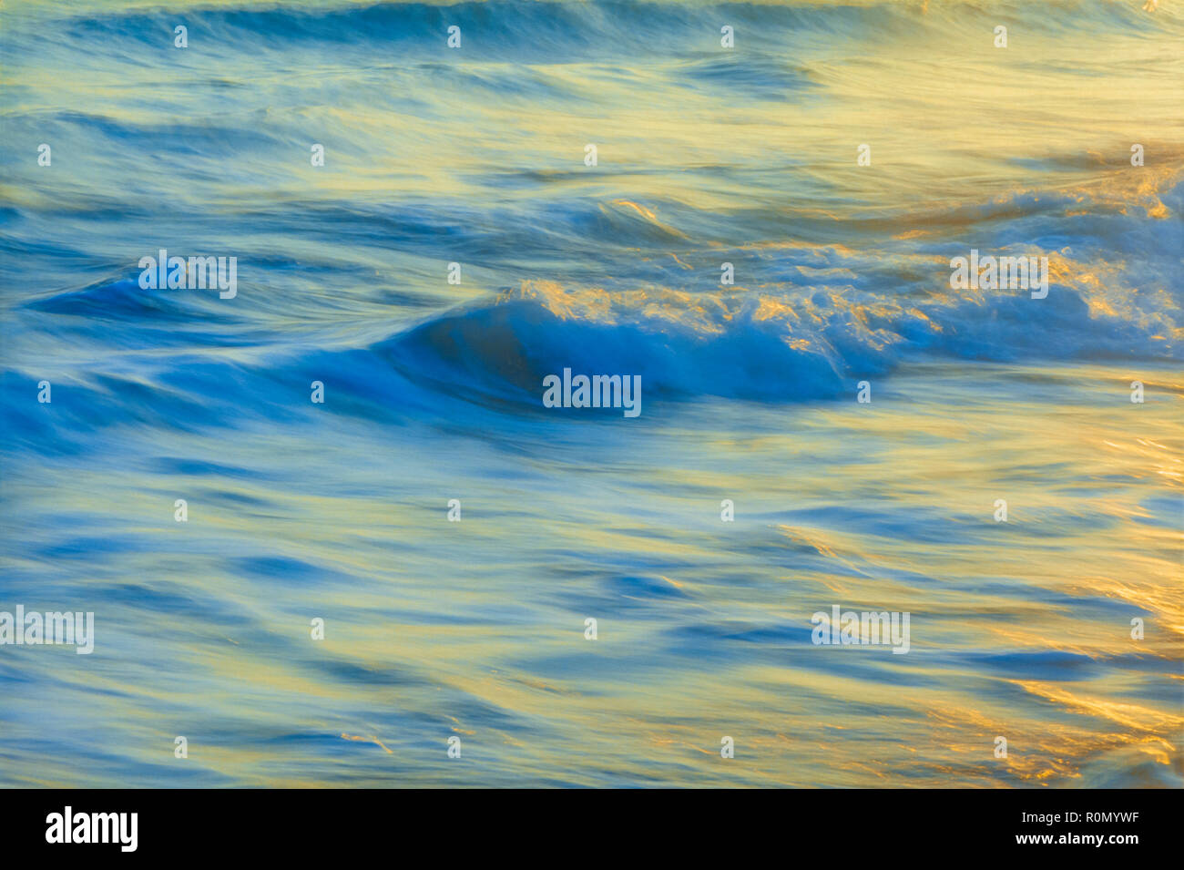 Backlit incoming waves Stock Photo - Alamy