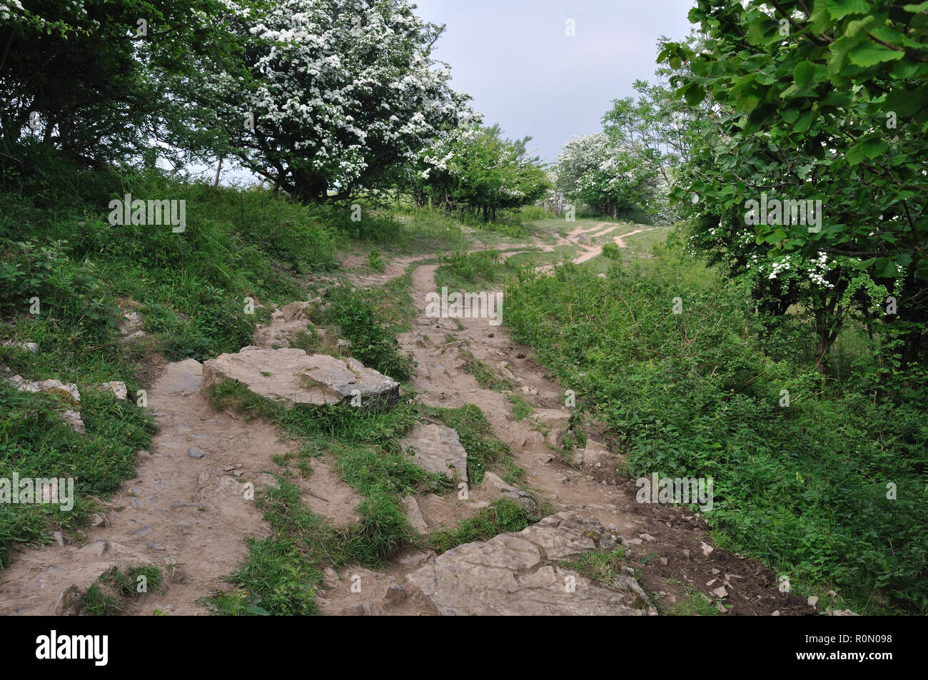 Cheddar Gorge Path Stock Photo - Alamy
