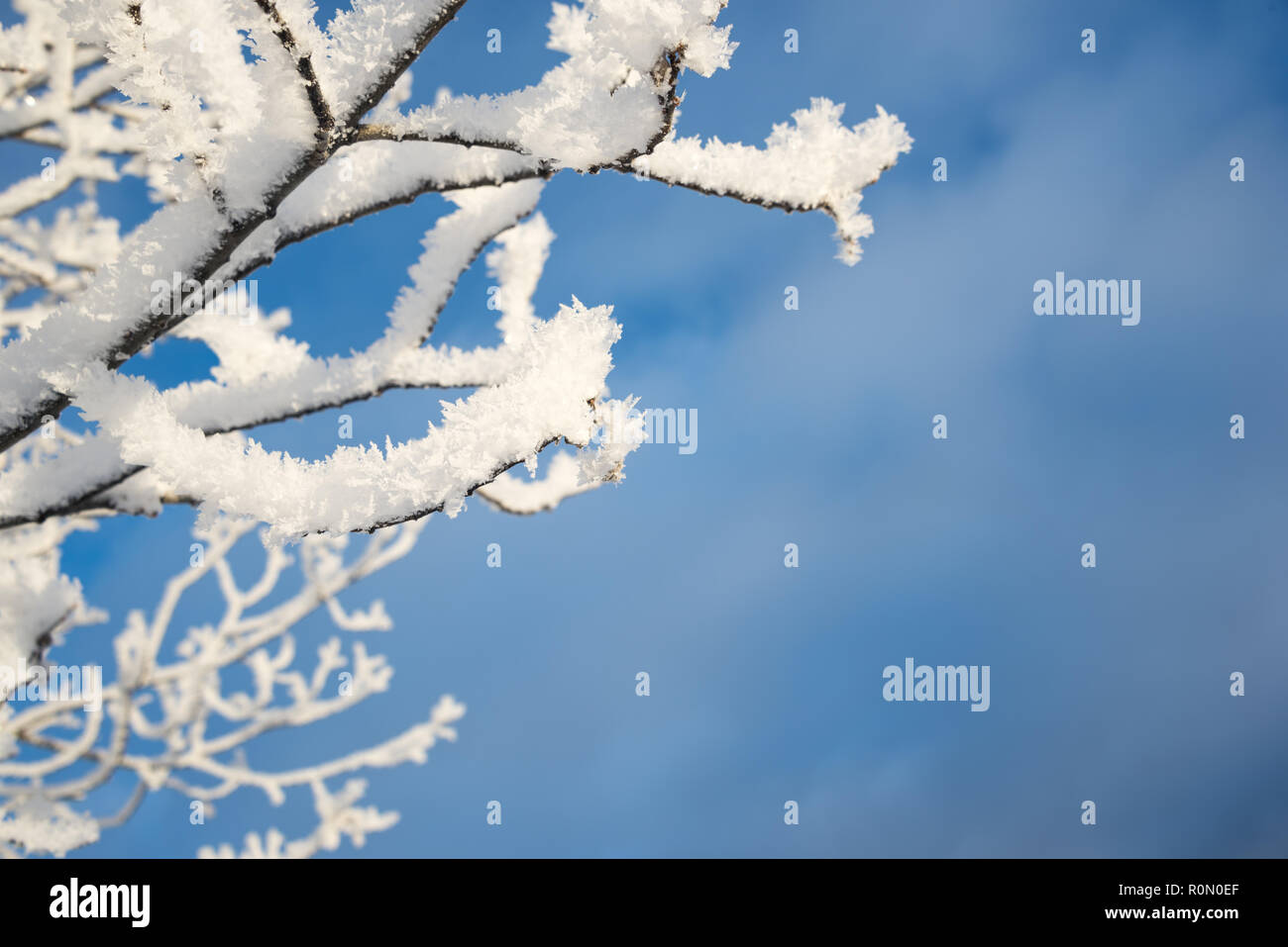 Snowy background hi-res stock photography and images - Alamy
