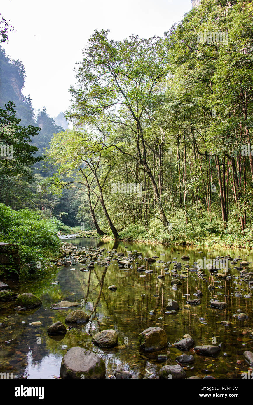 The Wulingyuan Scenic Area, near Zhangjiajie,Hunan, a World Heritage ...
