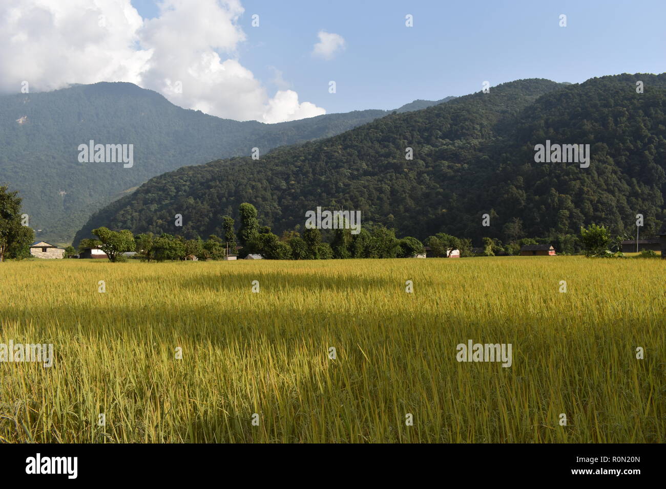 Field and hills hi-res stock photography and images - Alamy