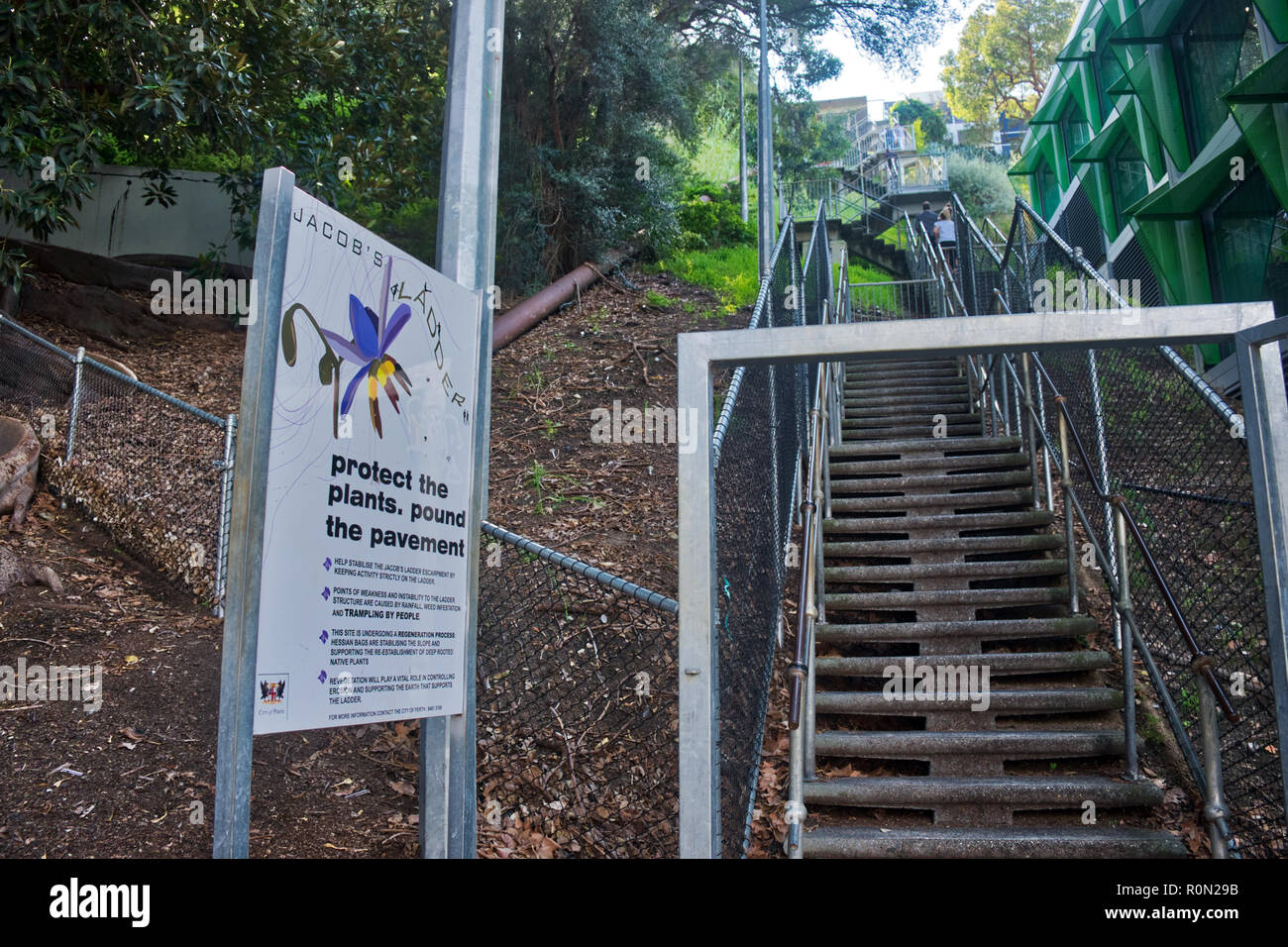 Energetic people run up and down 242 steps of Jacobs Ladder for ...