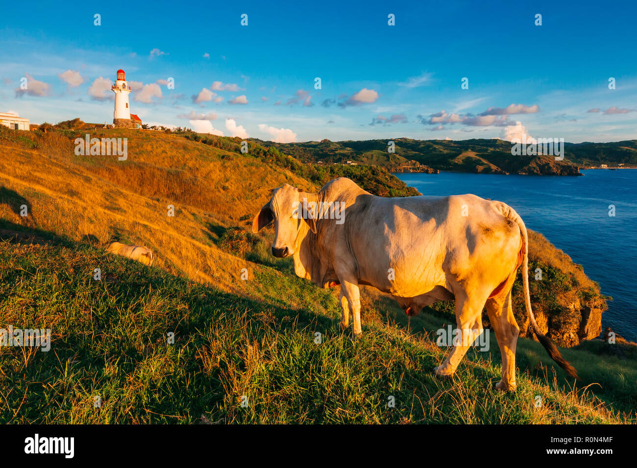 Batanes hi-res stock photography and images - Alamy