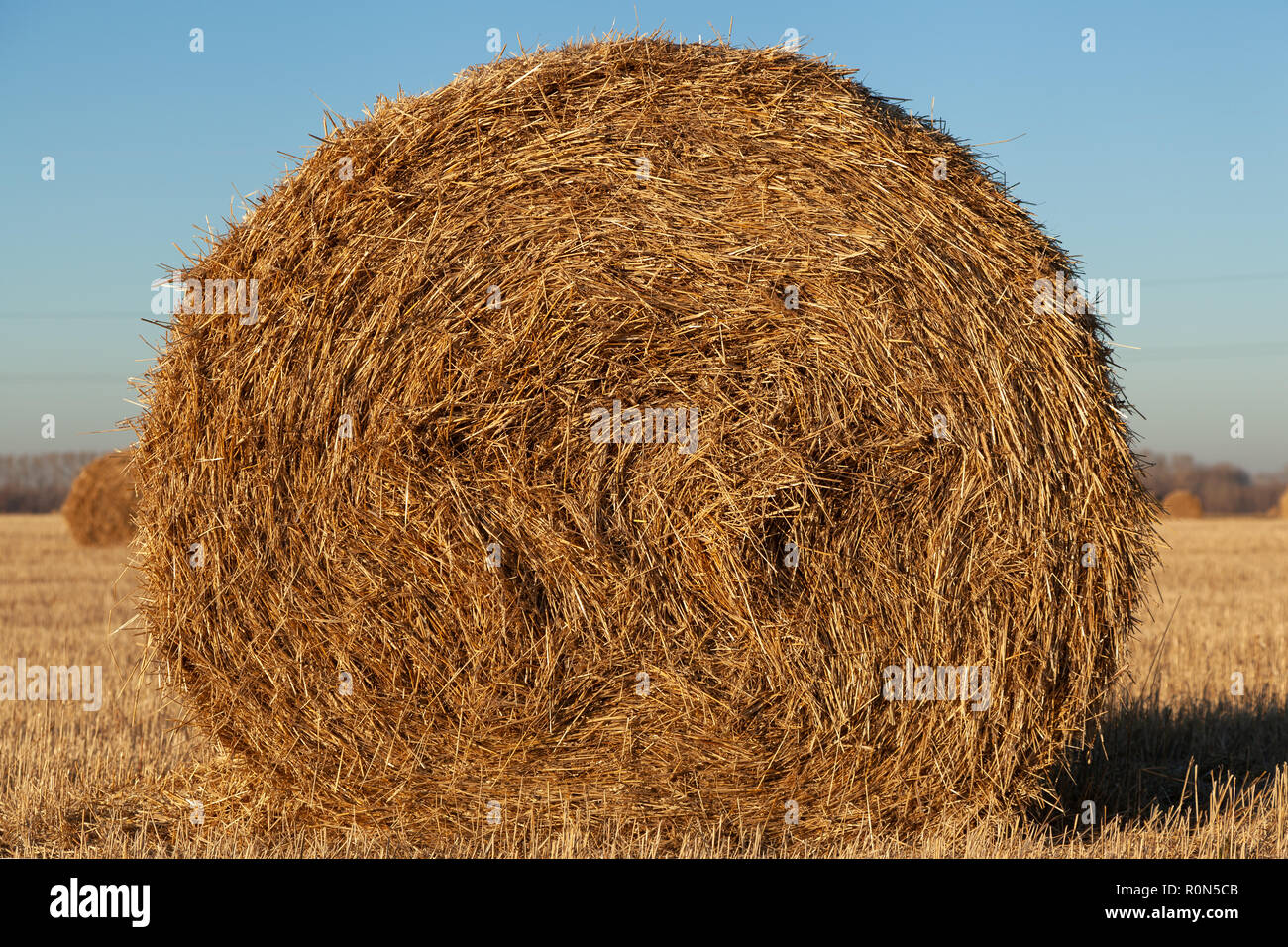 Haystack harvest spring field landscape. Haystack agriculture field landscape. Agriculture field ...