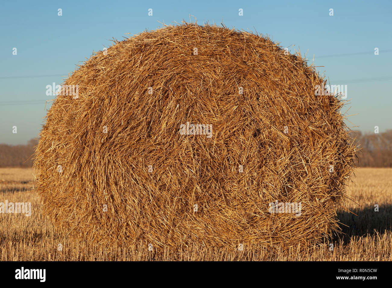 Haystack harvest spring field landscape. Haystack agriculture field ... Haystack harvest spring field landscape. Haystack agriculture field ...