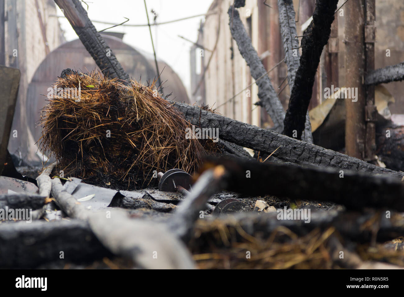 the ruins of a fully burned farm, disaster scene Stock Photo - Alamy