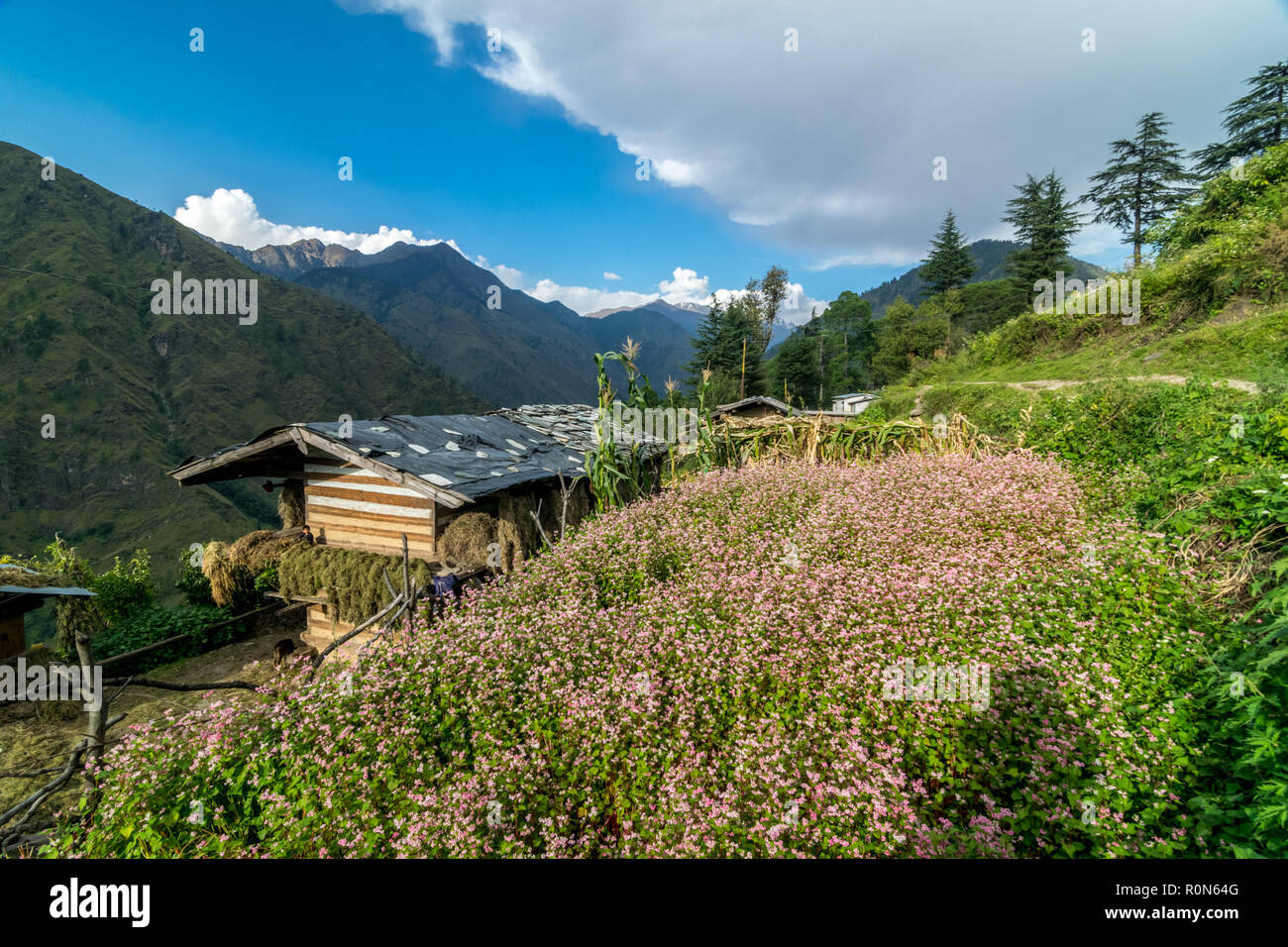 A Traditional Himalayan Wooden House in Sankri Range, Uttrakhand, India ...