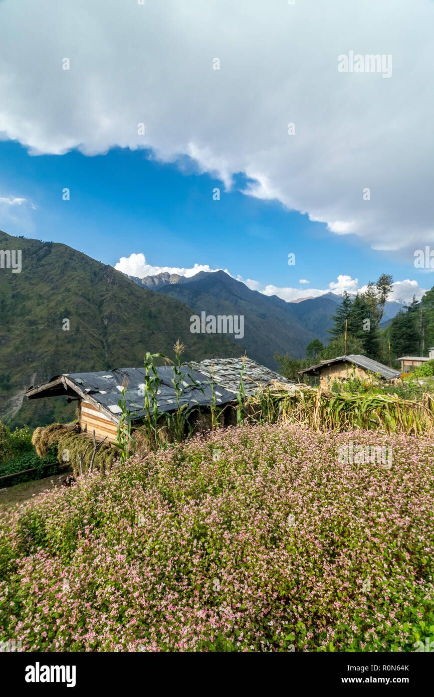 A Traditional Himalayan Wooden House in Sankri Range, Uttrakhand, India ...