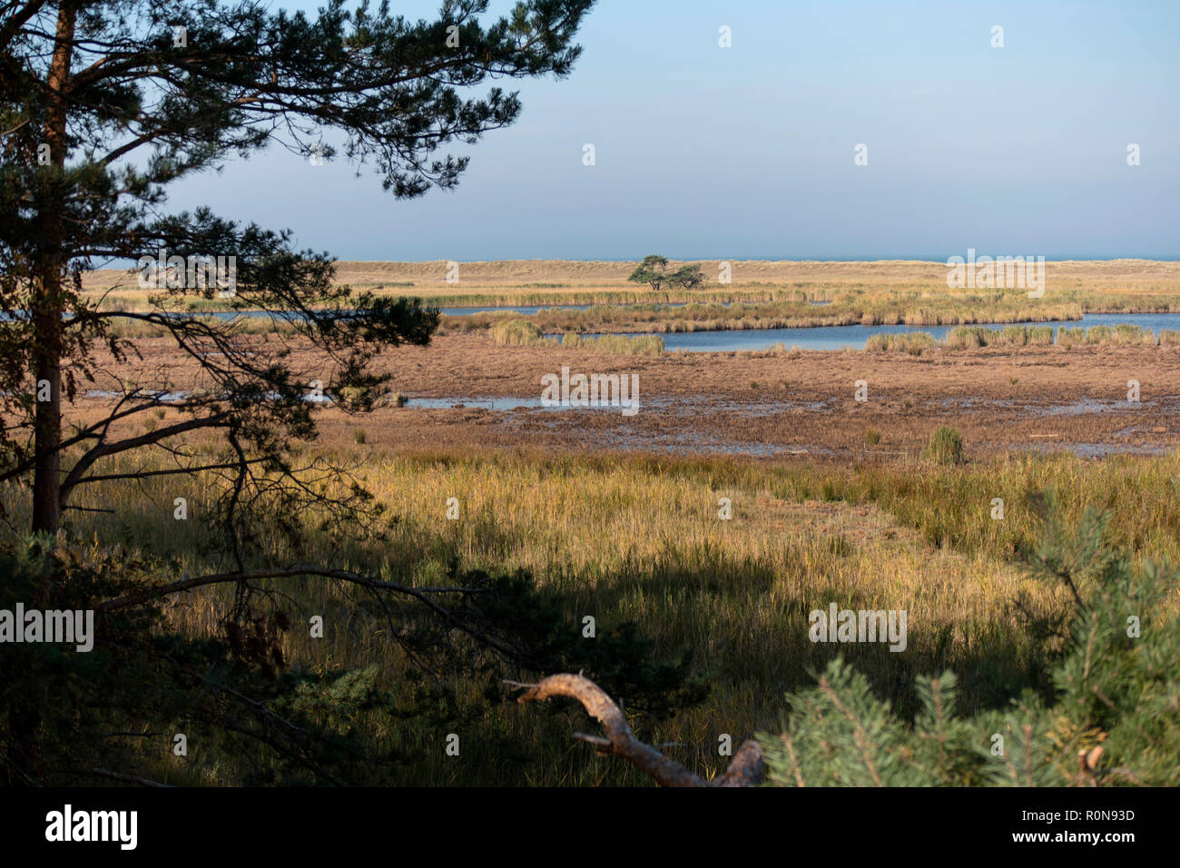 Darsser Ort on Darss in Germany Stock Photo - Alamy