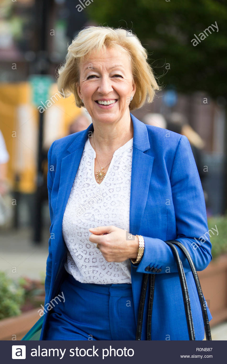 Leadsom Stock Photos & Leadsom Stock Images - Alamy