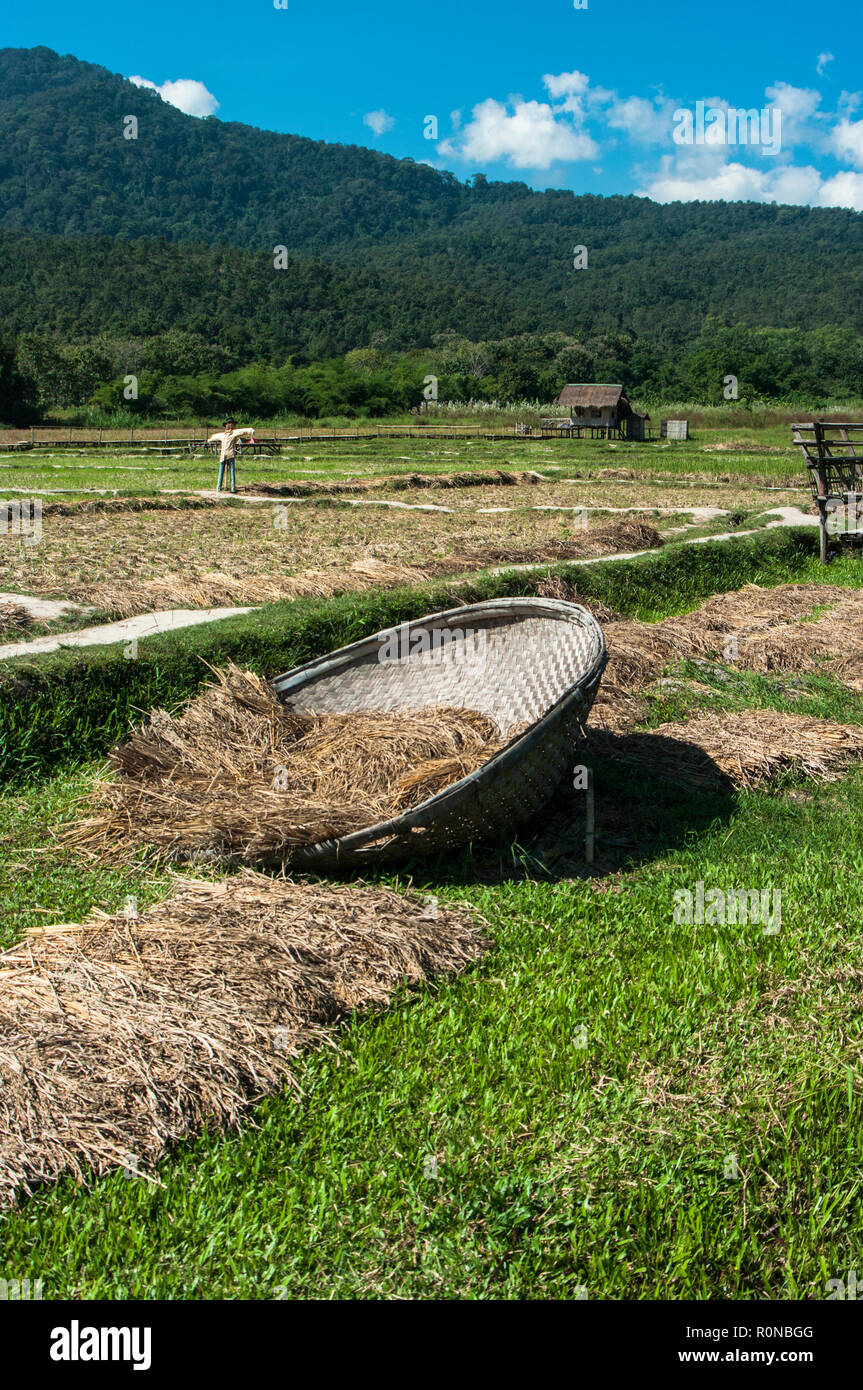 landscape photography : Landscapes of rice fields Asia and lifestyle ...