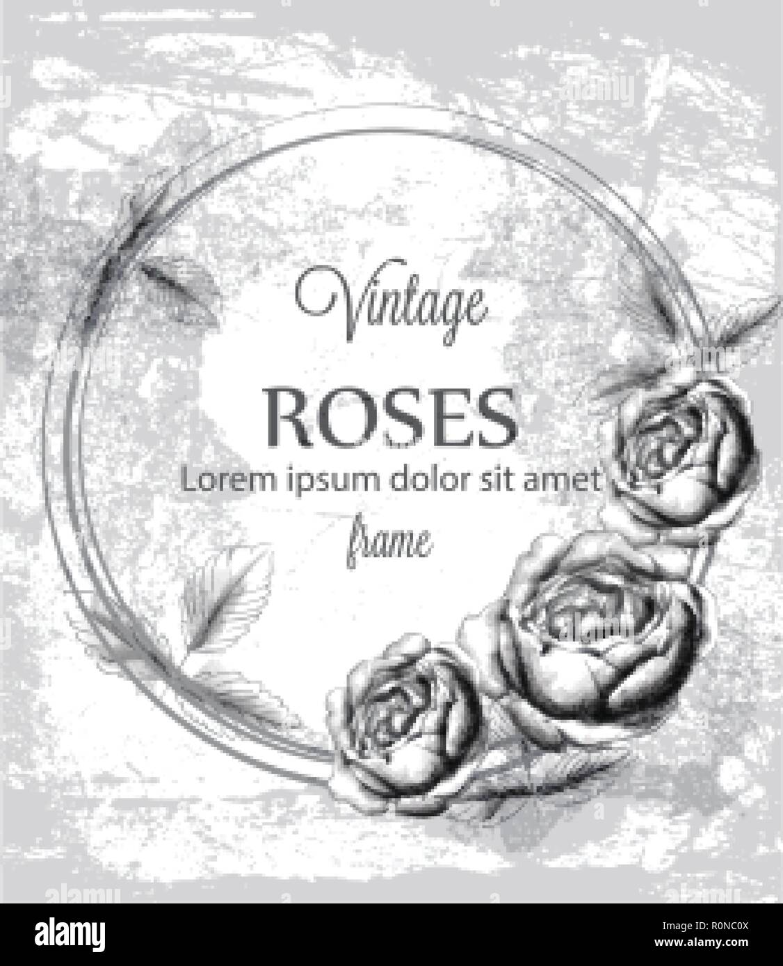 Roses vintage card line art Vector. Vintage ink styles stains effect ...