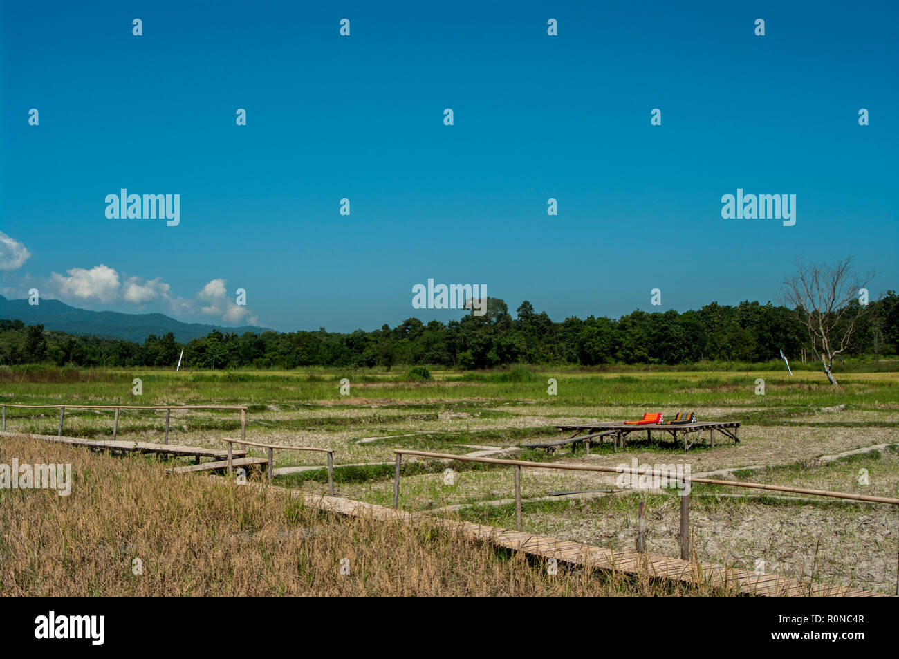 landscape photography : Landscapes of rice fields Asia and lifestyle ...