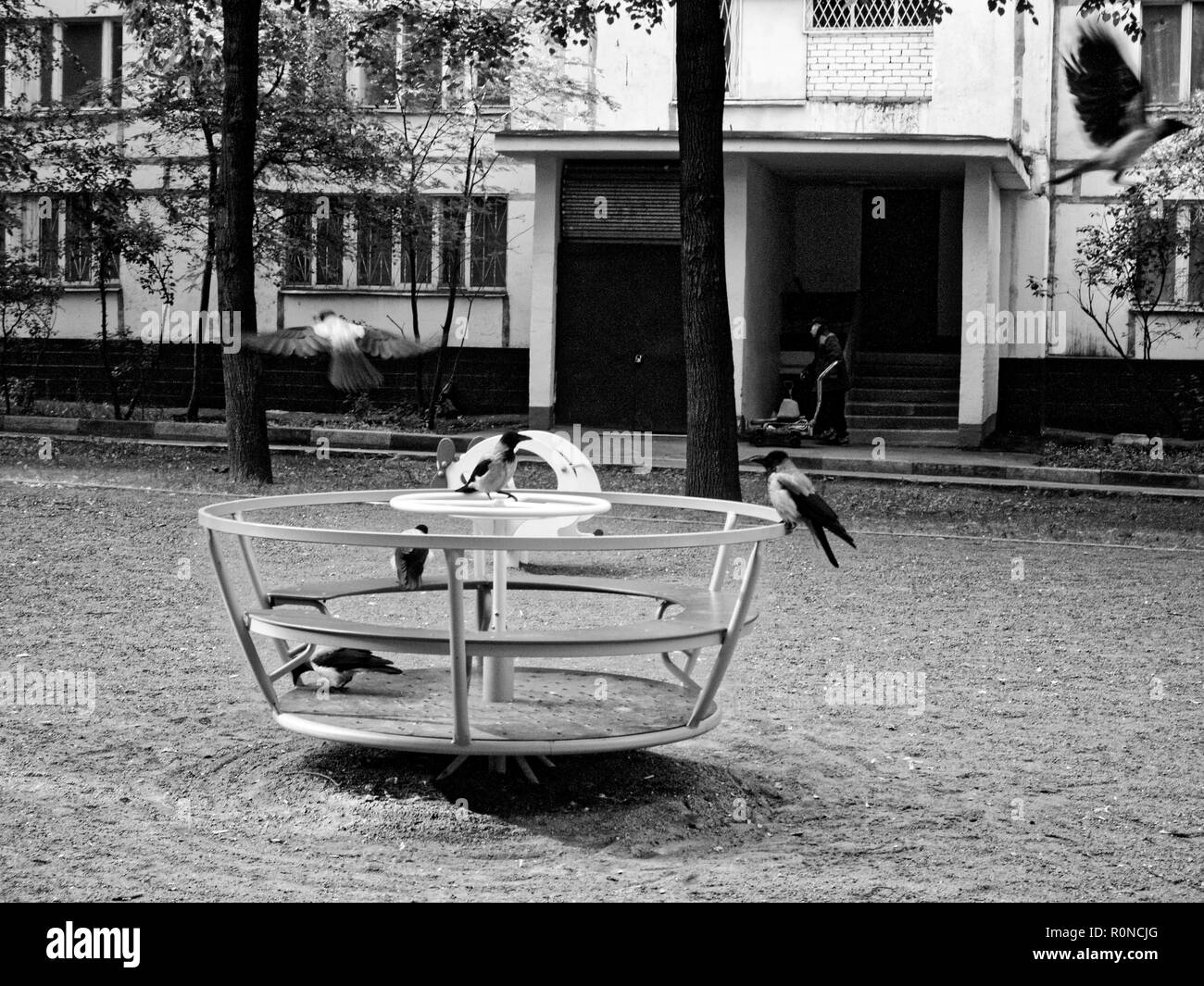 Raven filth hi-res stock photography and images - Alamy