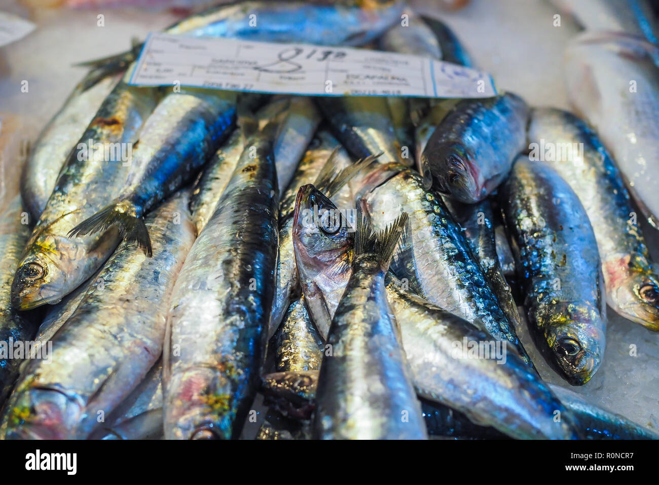 Fish at a food market old town Palma de Mallorca, Spain Stock Photo - Alamy