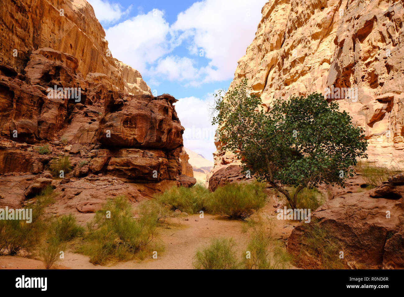 The Jordanian desert at Wadi Rum or Valley of the Moon Stock Photo - Alamy