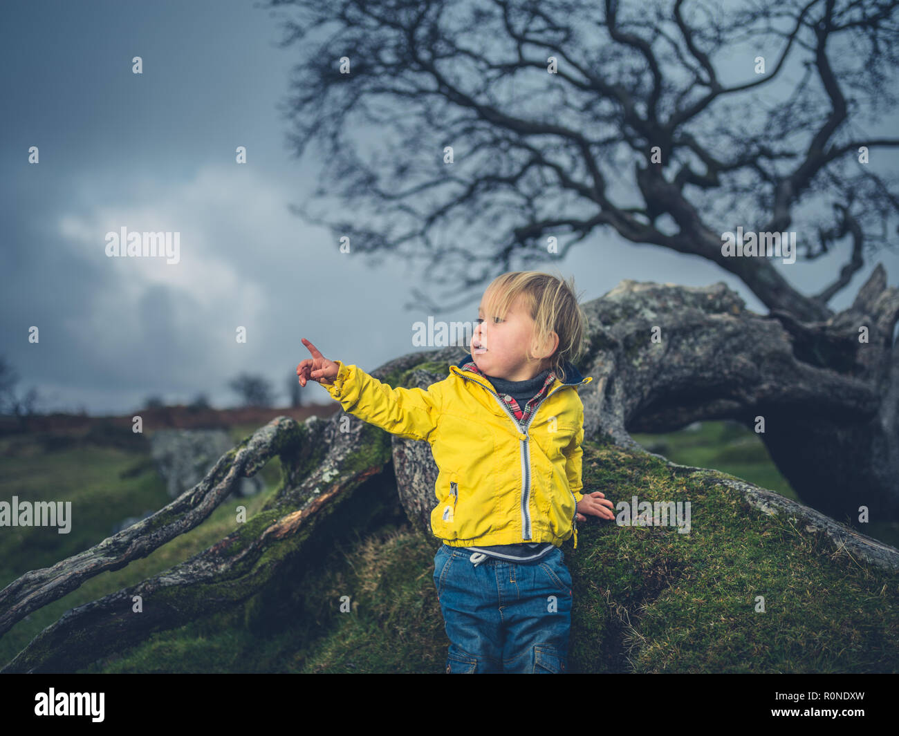 Finger pointing to tree hi-res stock photography and images - Alamy
