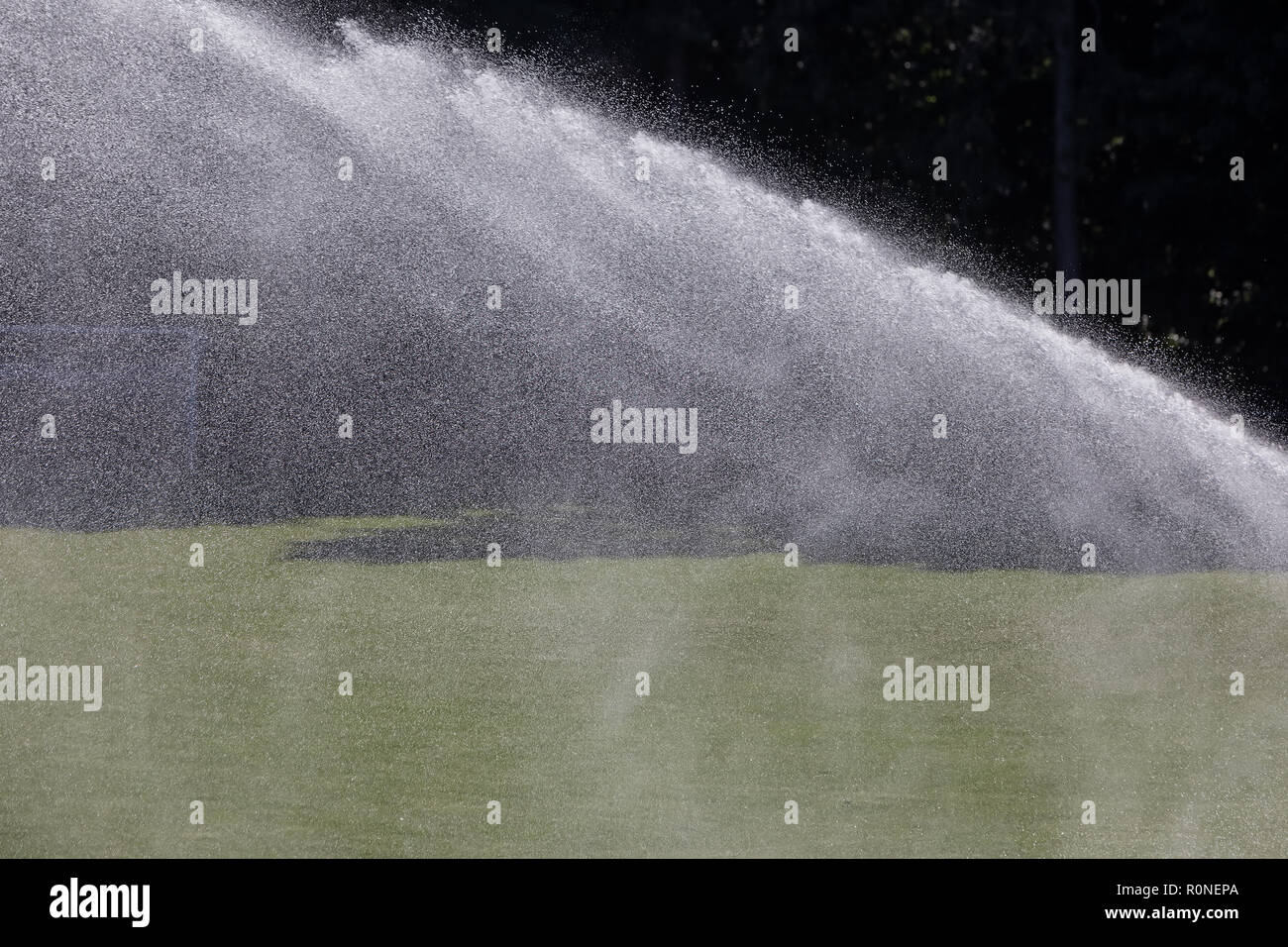 Sprinkler system working on fresh green grass on football (soccer ...