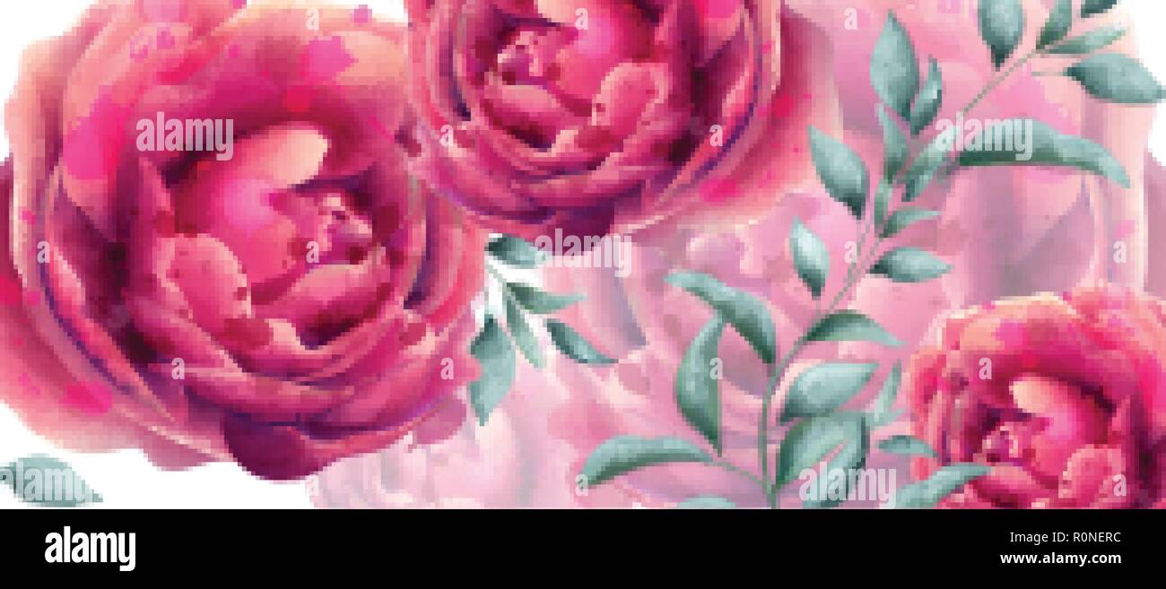 Wedding Invitation rose flowers watercolor banner Vector. Beautiful ...