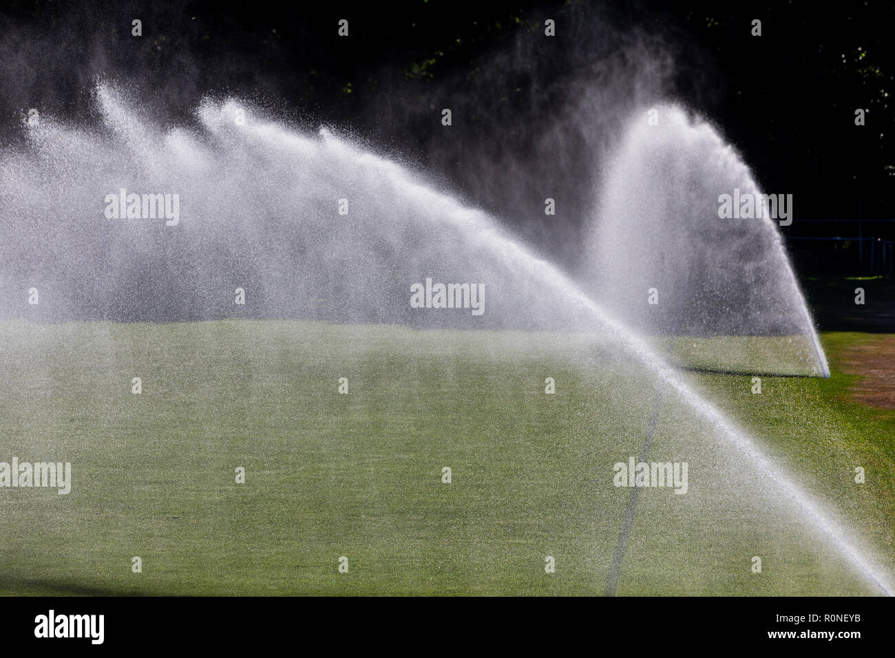 Sprinkler system working on fresh green grass on football (soccer ...