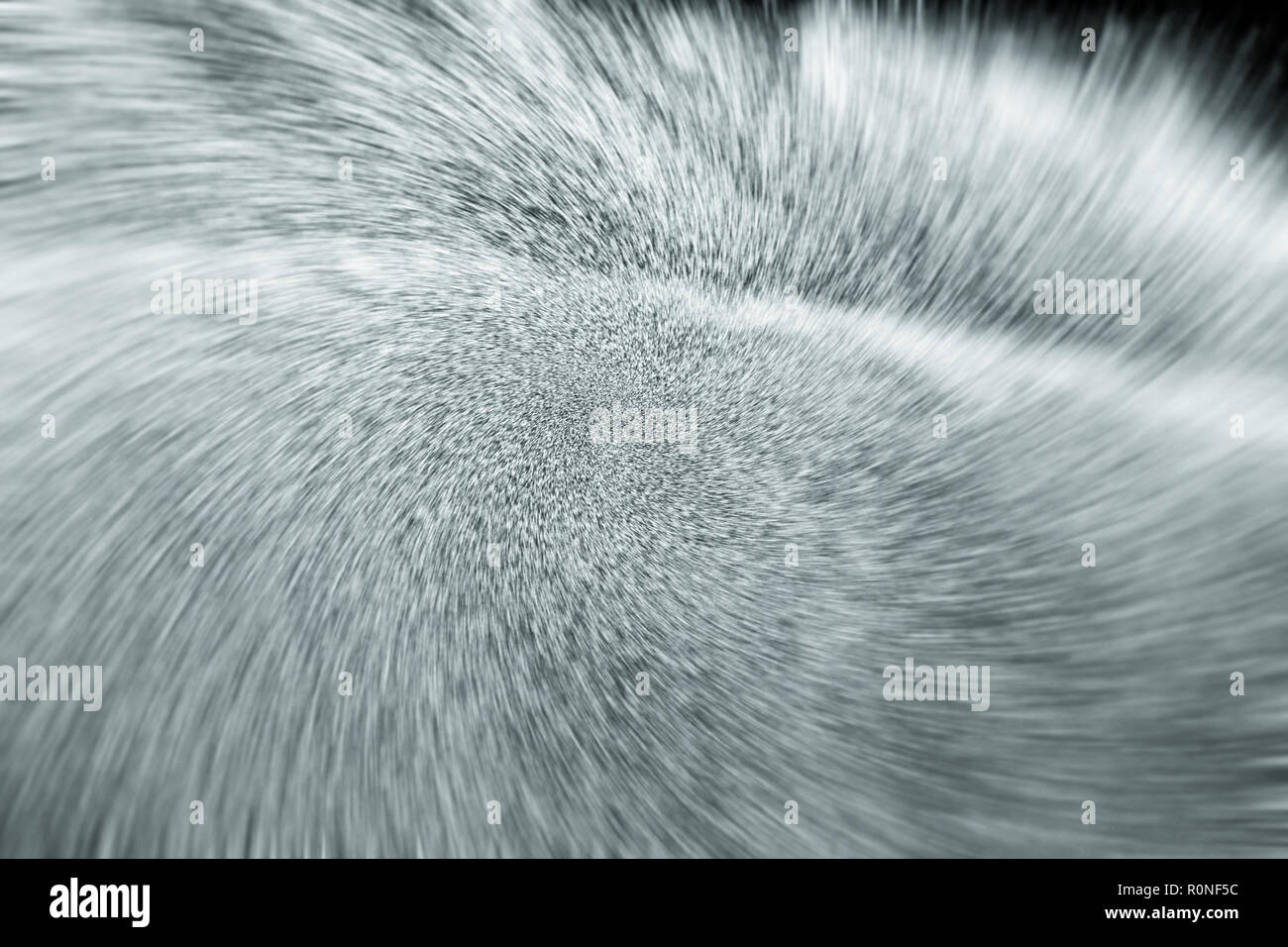 Sprinkler system working on fresh green grass. zoom effect filter Stock ...