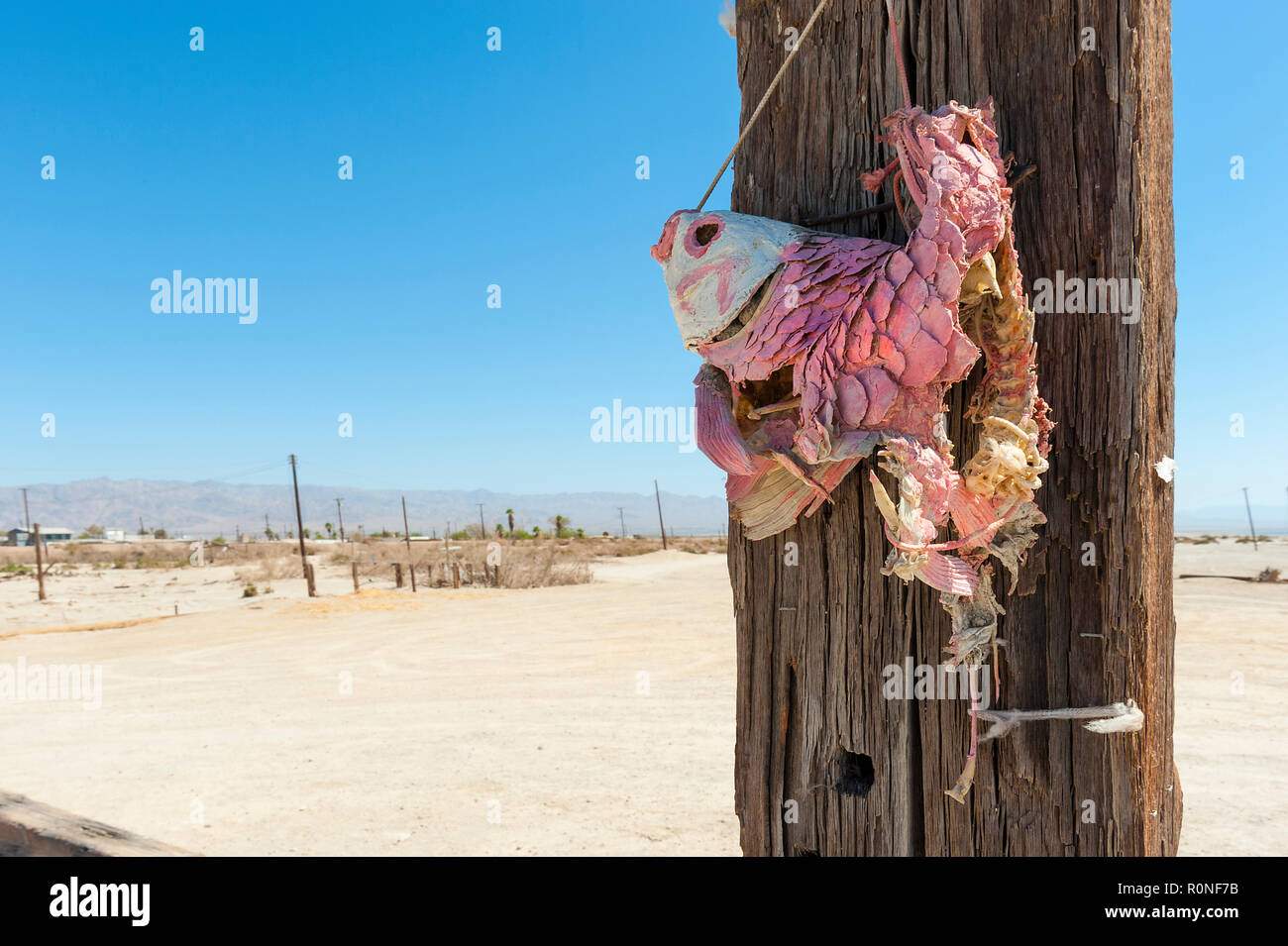 Bombay Beach on the Salton Sea, California, USA Stock Photo - Alamy