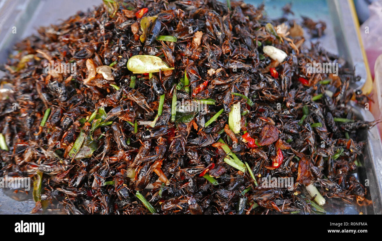 CAMBODIA Fried crickets, a tasty food Stock Photo - Alamy