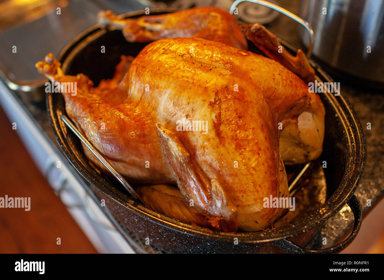 Homemade roasted turkey in a kitchen roasting pan, a North American ...